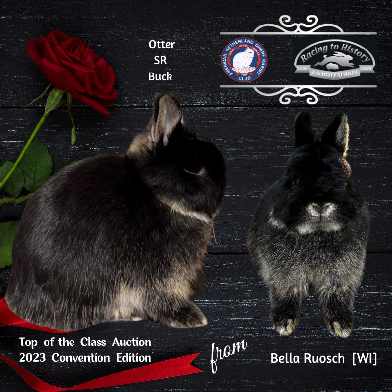 American Netherland Dwarf Rabbit Club Website