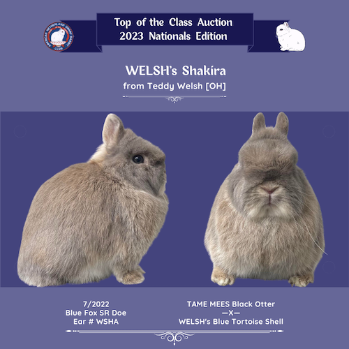 American Netherland Dwarf Rabbit Club Website