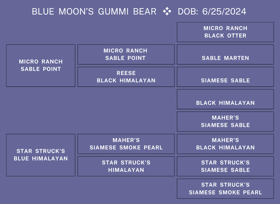 American Netherland Dwarf Rabbit Club Website
