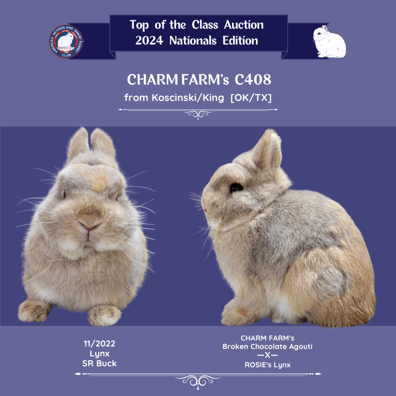 American Netherland Dwarf Rabbit Club Website